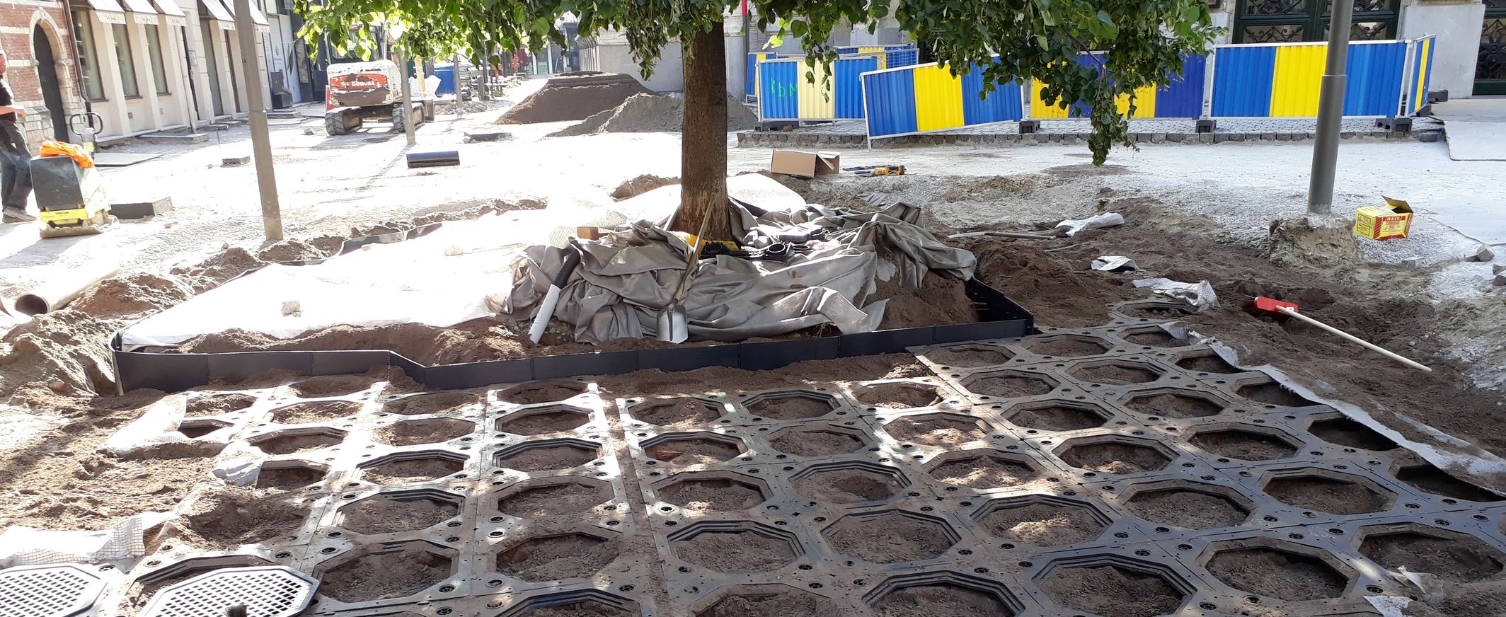 TreeParker pour l'implantation d'arbres en ville - Jardiprotec